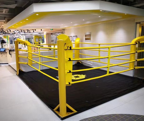 Custom Floor Boxing Ring (No drilling required) | | Muay Thai Boxing ...